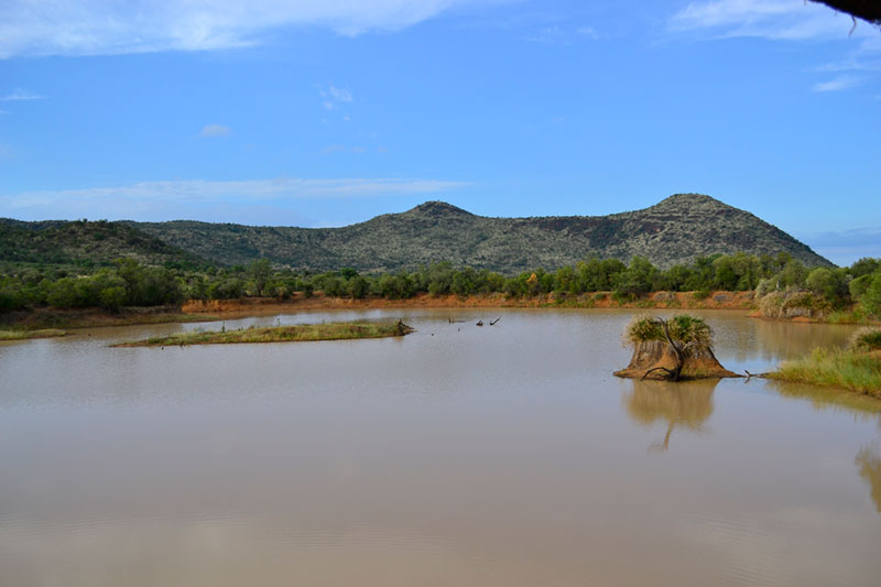 Pilanesberg Photographic Hides & Mankwe Dam