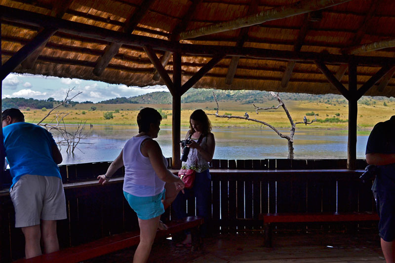Pilanesberg Photographic Hides & Mankwe Dam