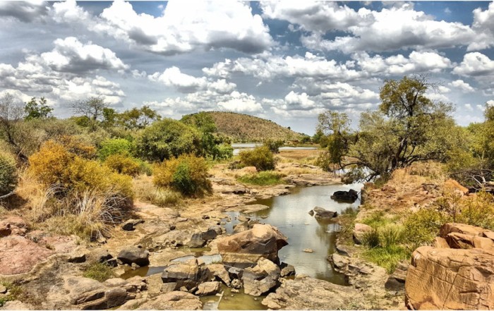 Pilanesberg National Park & Game Reserve