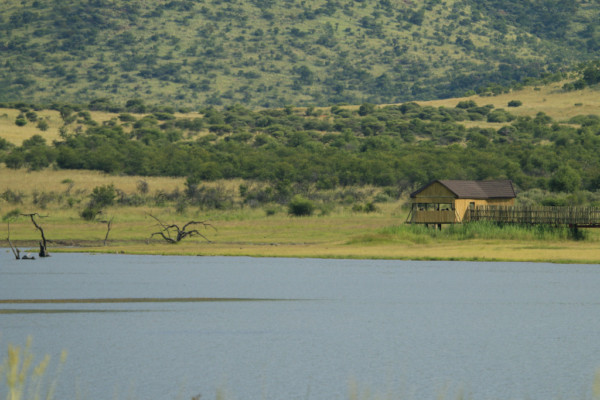 Pilanesberg Photographic Hides & Mankwe Dam