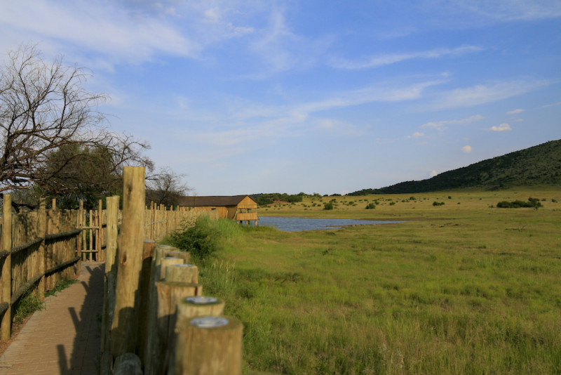 Pilanesberg Photographic Hides & Mankwe Dam