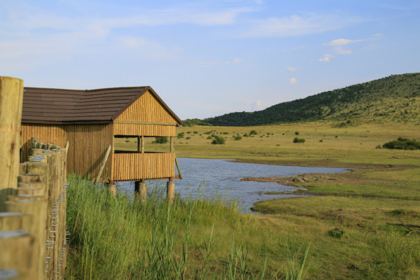 Pilanesberg Photographic Hides & Mankwe Dam